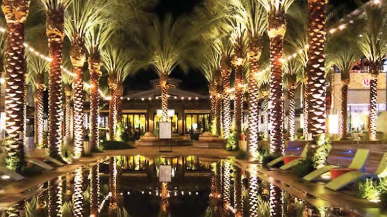 palmeraie-night - Coe & Van Loo Consultants | CVL